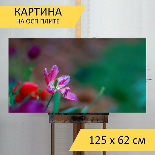 Картина на ОСП 125х62 см. "Тюльпан, цветок, сад" горизонтальная, для интерьера, с креплениями