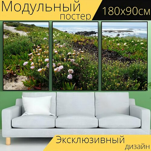 Модульный постер "Цветы, побережье, море" 180 x 90 см. для интерьера