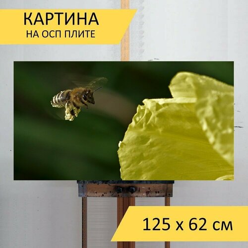 Картина на ОСП 125х62 см. "Пчела, цвести, блум" горизонтальная, для интерьера, с креплениями