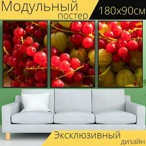 Модульный постер "Фрукты, ягода, витамины" 180 x 90 см. для интерьера