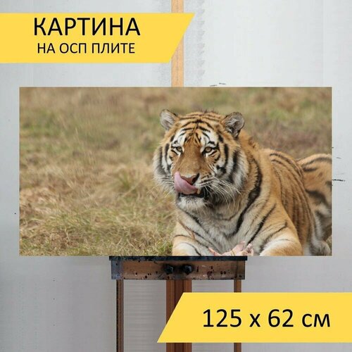 Картина на ОСП 125х62 см. "Тигр, животное, дикая природа" горизонтальная, для интерьера, с креплениями