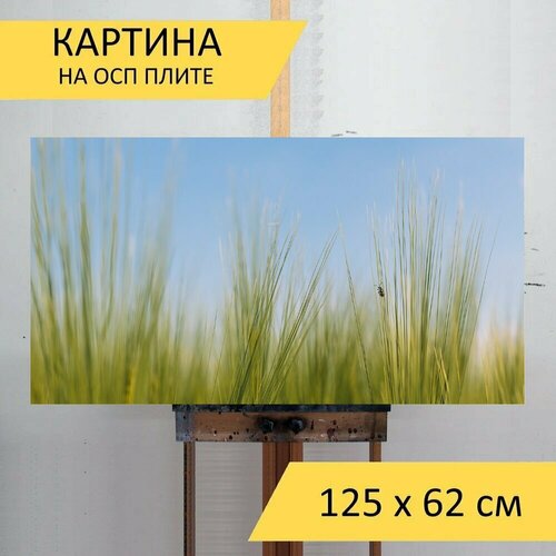 Картина на ОСП 125х62 см. "Зерно, жук, насекомое" горизонтальная, для интерьера, с креплениями