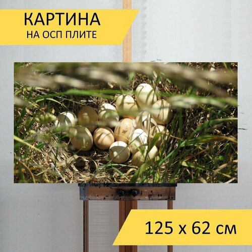 Картина на ОСП 125х62 см. "Гнездо, яйца, кур" горизонтальная, для интерьера, с креплениями