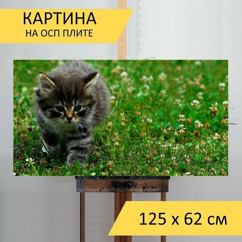 Картина на ОСП 125х62 см. "Кот, хищник, домашняя кошка" горизонтальная, для интерьера, с креплениями