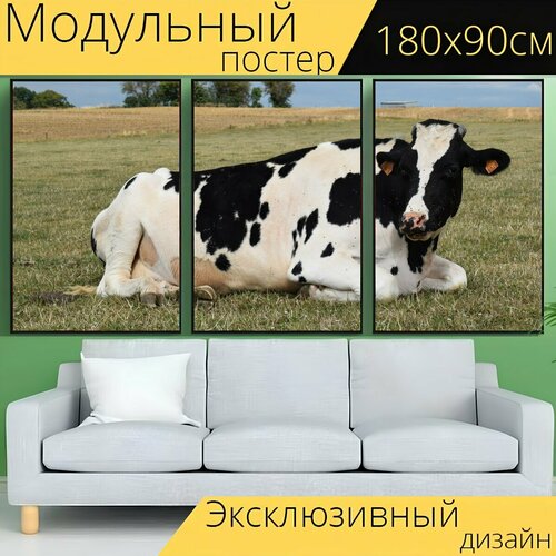 Модульный постер "Корова, луг, природа" 180 x 90 см. для интерьера
