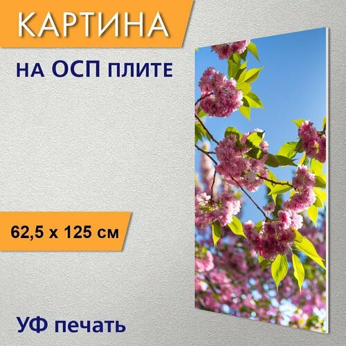 Вертикальная картина на ОСП "Сакура, цветок, дерево" 62x125 см. для интерьериа