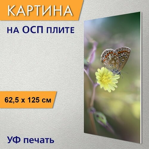 Вертикальная картина на ОСП "Бабочка, насекомое, цветок" 62x125 см. для интерьериа