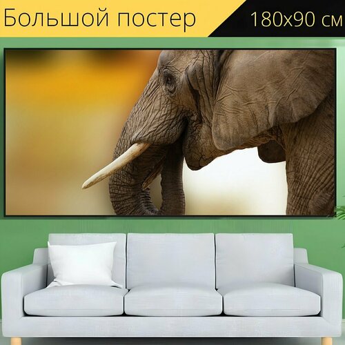 Большой постер "Слон, животное, слоновая кость" 180 x 90 см. для интерьера