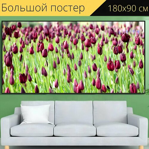 Большой постер "Цветок, тюльпан, весна" 180 x 90 см. для интерьера