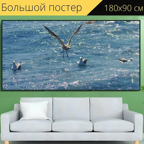 Большой постер "Чайки, птицы, море" 180 x 90 см. для интерьера