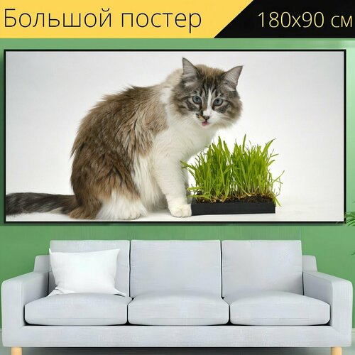 Большой постер "Кошка, животное, трава" 180 x 90 см. для интерьера
