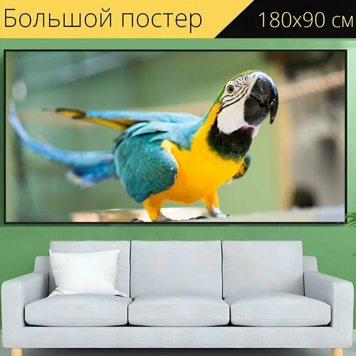 Большой постер "Попугай, птица, природа" 180 x 90 см. для интерьера