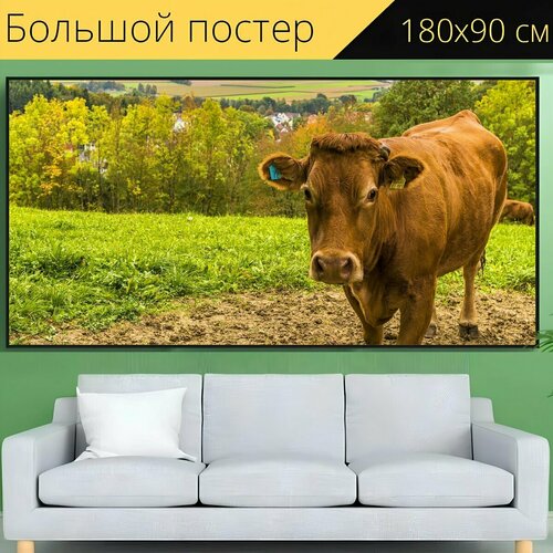 Большой постер "Корова, пастбище, домашний скот" 180 x 90 см. для интерьера