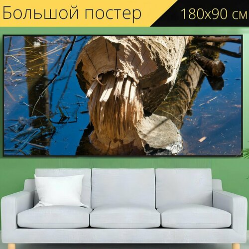 Большой постер "Корм для бобра, дерево, бобр" 180 x 90 см. для интерьера