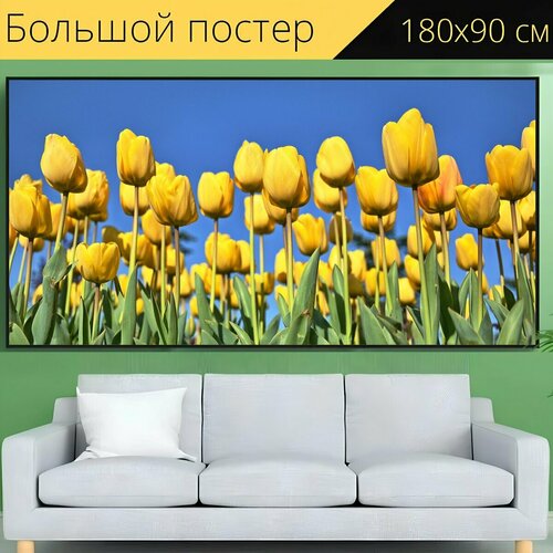 Большой постер "Тюльпаны, цветок, природа" 180 x 90 см. для интерьера