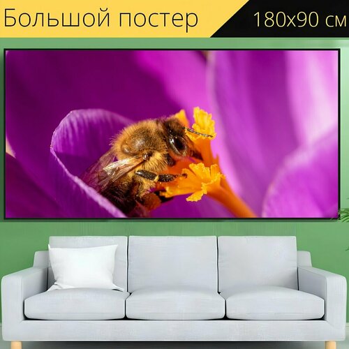 Большой постер "Пчела, крокус, насекомое" 180 x 90 см. для интерьера