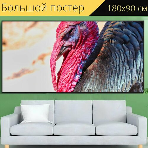 Большой постер "Турция, дикий, птица" 180 x 90 см. для интерьера