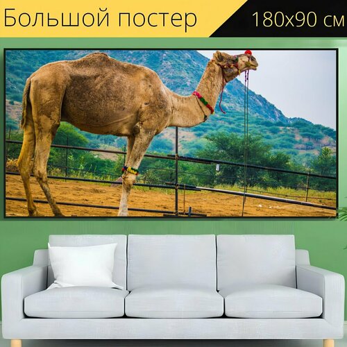 Большой постер "Верблюд стоял, в окружении горных, природа" 180 x 90 см. для интерьера