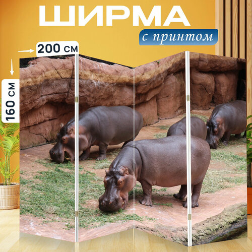 Ширма перегородка с принтом "Зоопарк, бегемот, подиум" на холсте - 200x160 см. для зонирования, раскладная
