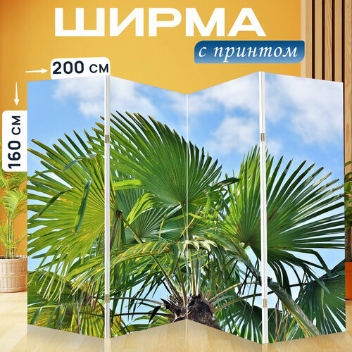 Ширма перегородка с принтом "Пальма, листья пальмы, листья" на холсте - 200x160 см. для зонирования, раскладная