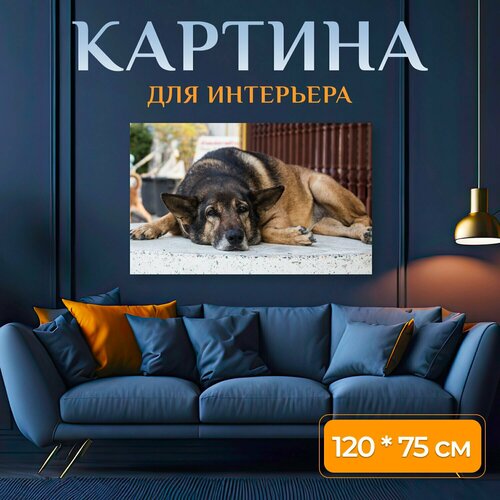 Картина на холсте "Собака, животное, млекопитающее" на подрамнике 120х75 см. для интерьера