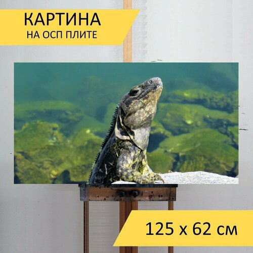 Картина на ОСП 125х62 см. "Игуана, ящерица, дракон" горизонтальная, для интерьера, с креплениями