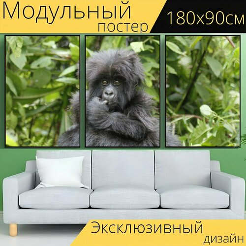 Модульный постер "Сафари в уганде, уганда горилла треккинг" 180 x 90 см. для интерьера