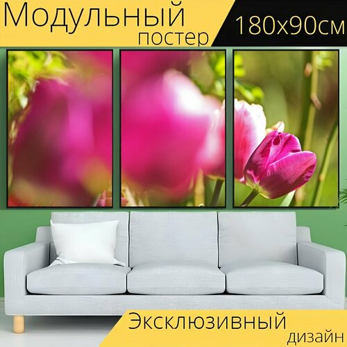 Модульный постер "Тюльпаны, рано цветущий, весна" 180 x 90 см. для интерьера