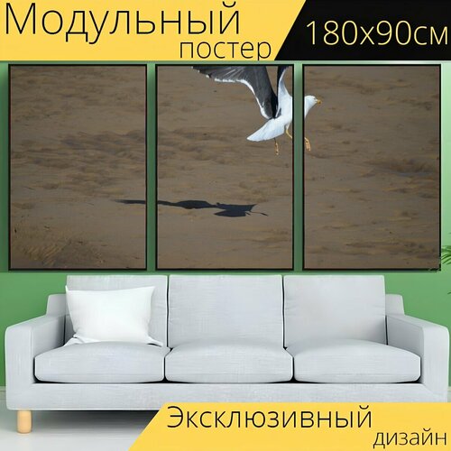 Модульный постер "Чайка, полет, море" 180 x 90 см. для интерьера