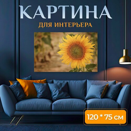 Картина на холсте "Подсолнечник, завод, цветок" на подрамнике 120х75 см. для интерьера