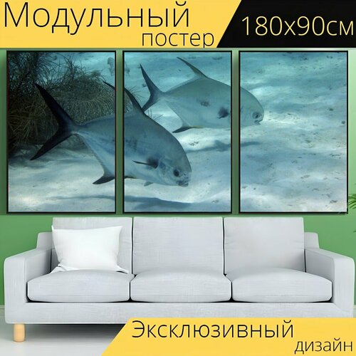 Модульный постер "Рыбы, подводный, дайвинг" 180 x 90 см. для интерьера