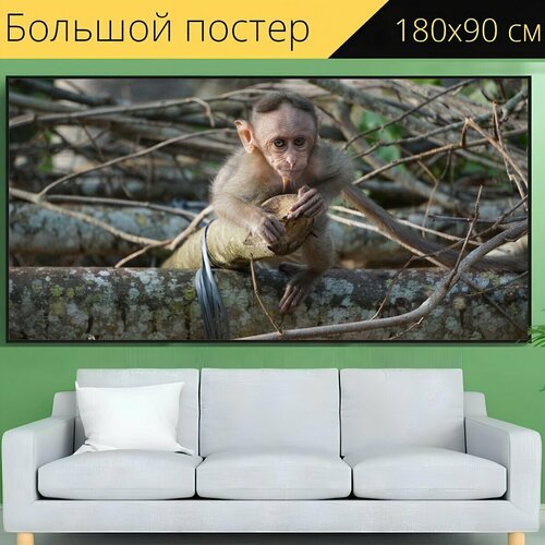 Большой постер "Обезьяна, детские обезьяна, природа" 180 x 90 см. для интерьера