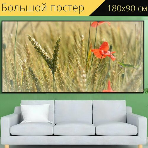 Большой постер "Мак, цветок, кукурузное поле" 180 x 90 см. для интерьера