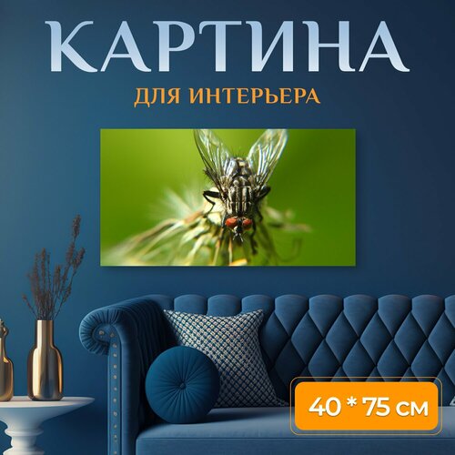 Картина на холсте "Муха, насекомое, макрос" на подрамнике 75х40 см. для интерьера