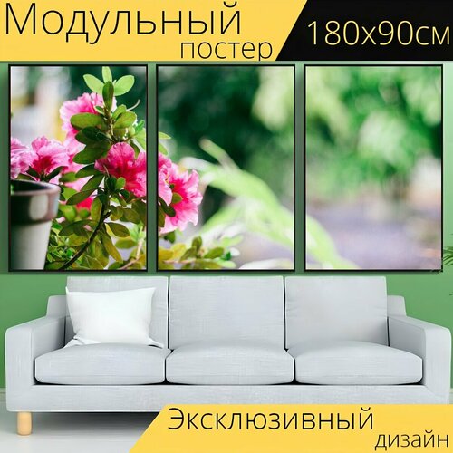 Модульный постер "Балкон, цветок, завод" 180 x 90 см. для интерьера