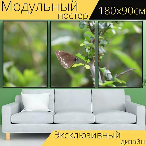 Модульный постер "Бабочка, лес, зеленый" 180 x 90 см. для интерьера