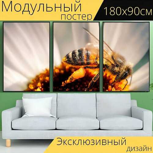 Модульный постер "Пчела, цветок, цветочная пыльца" 180 x 90 см. для интерьера