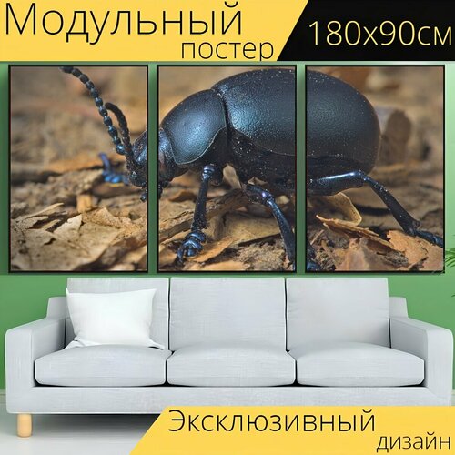 Модульный постер "Черный жук, жук, насекомое" 180 x 90 см. для интерьера