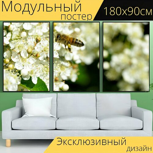 Модульный постер "Пчела, цветок, весна" 180 x 90 см. для интерьера