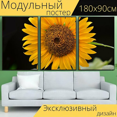 Модульный постер "Подсолнечник, желтый цветок, летом" 180 x 90 см. для интерьера