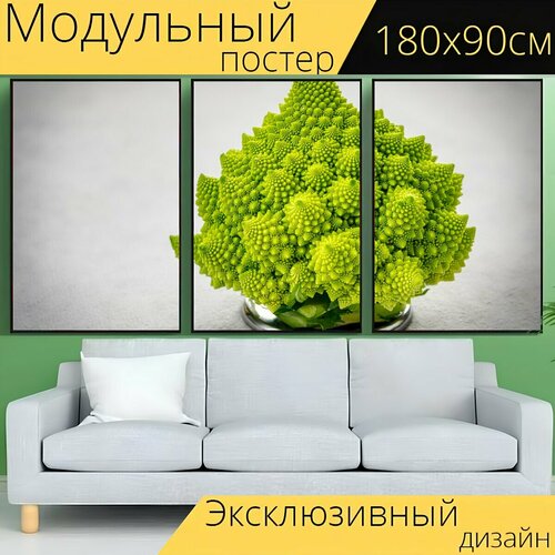 Модульный постер "Романеско, цветная капуста, овощи" 180 x 90 см. для интерьера