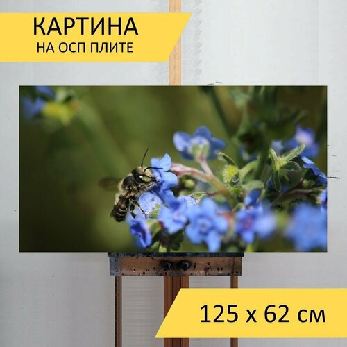 Картина на ОСП 125х62 см. "Природа, цветок, насекомое" горизонтальная, для интерьера, с креплениями