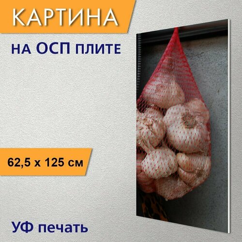 Вертикальная картина на ОСП "Чеснок, овощ, питание" 62x125 см. для интерьериа
