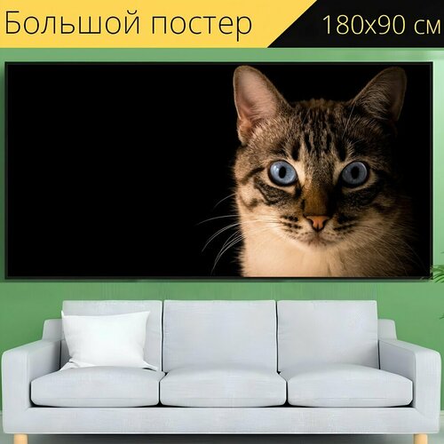 Большой постер "Кошка, животное, котенок" 180 x 90 см. для интерьера