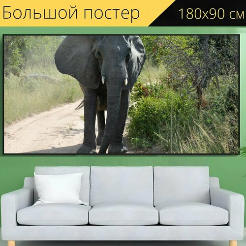 Большой постер "Слон, африке, национальный парк" 180 x 90 см. для интерьера
