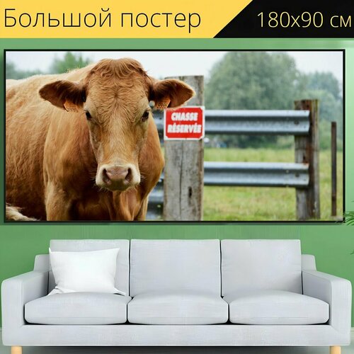 Большой постер "Корова, корова коричневый, портрет коровы" 180 x 90 см. для интерьера