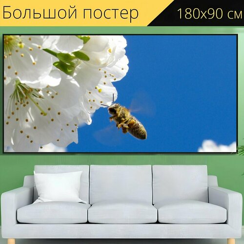 Большой постер "Пчела, опыление, цветы" 180 x 90 см. для интерьера