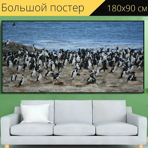 Большой постер "Пингвины, аргентина, пляж" 180 x 90 см. для интерьера