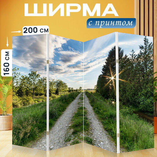 Ширма перегородка с принтом "Британская колумбия, канада, трава" на холсте - 200x160 см. для зонирования, раскладная