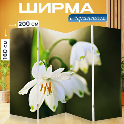 Ширма перегородка с принтом "Подснежник, цветок, пестик" на холсте - 200x160 см. для зонирования, раскладная